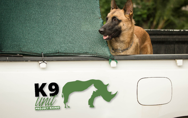 Project Rhino – African Conservation Trust