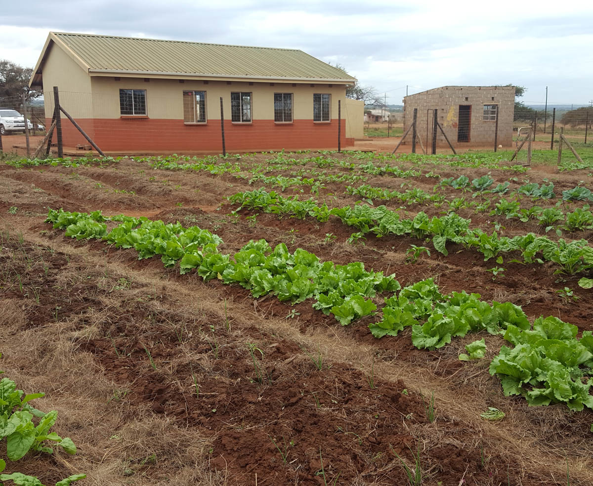 Growing Food Gardens For Rhinos – African Conservation Trust